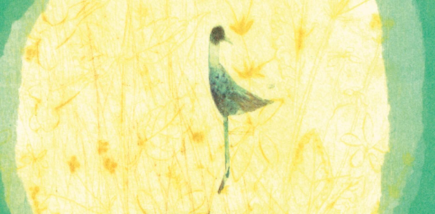 Fuglenes anatomi | Litteratursiden