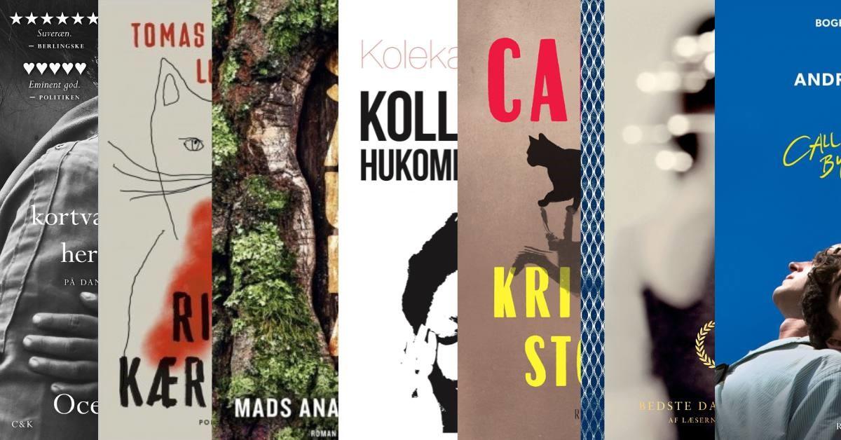 7 bøger, der repræsenterer mangfoldighed, du kan lytte til på eReolen ...